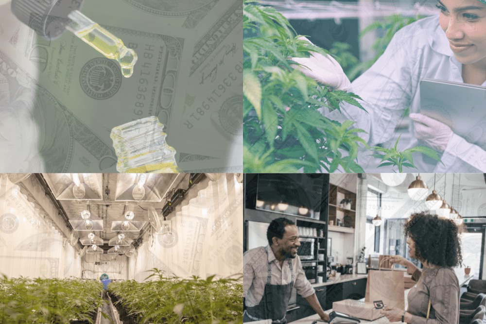 Cannabis Jobs: Unlocking The Door To A World Of Opportunities